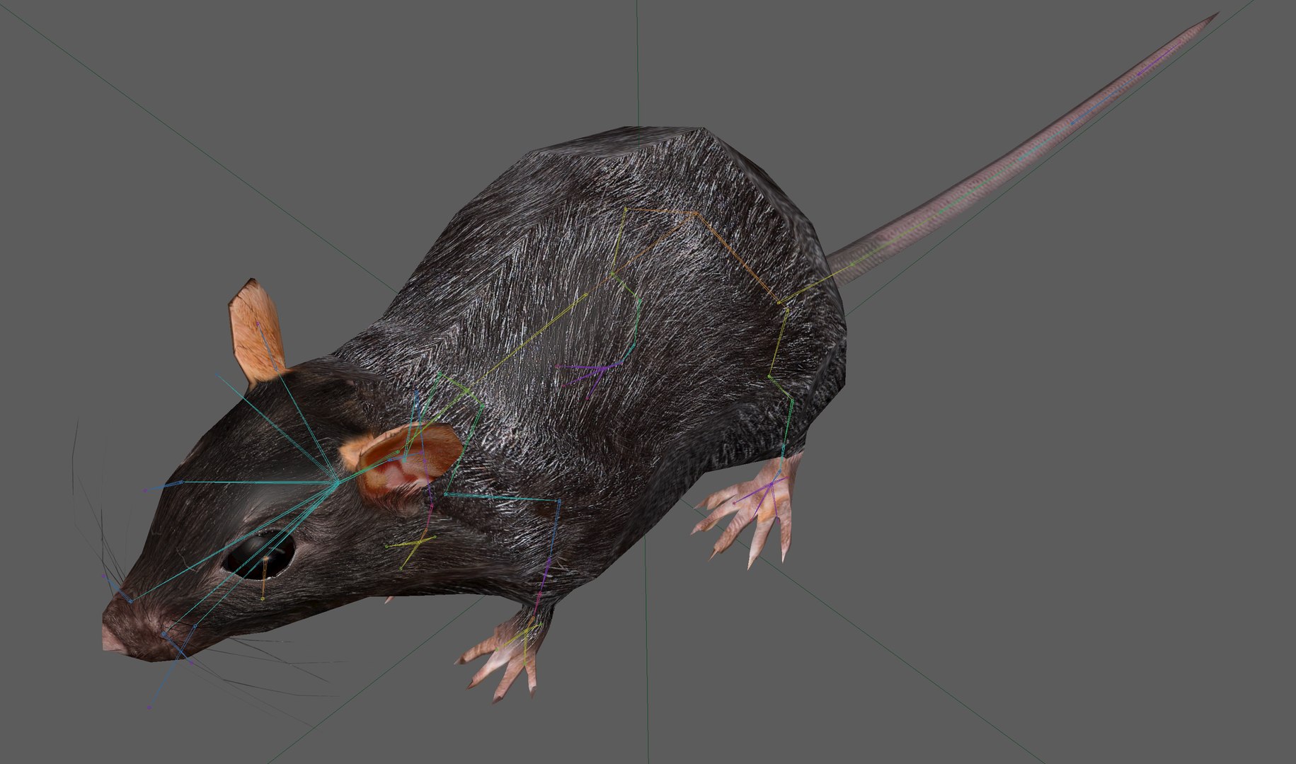 3D Rat Low Poly Rig Model - TurboSquid 1998275