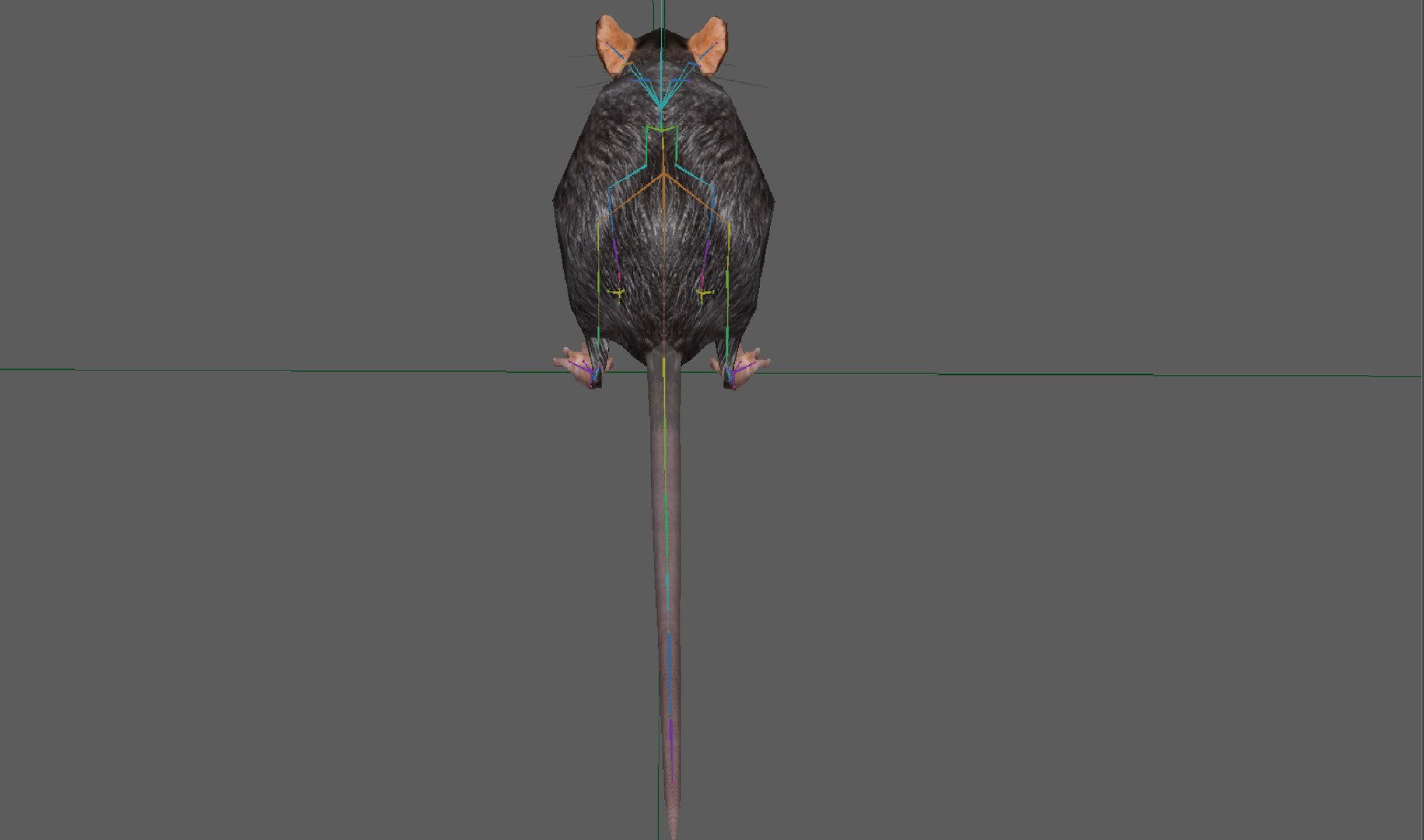 3D Rat Low Poly Rig Model - TurboSquid 1998275