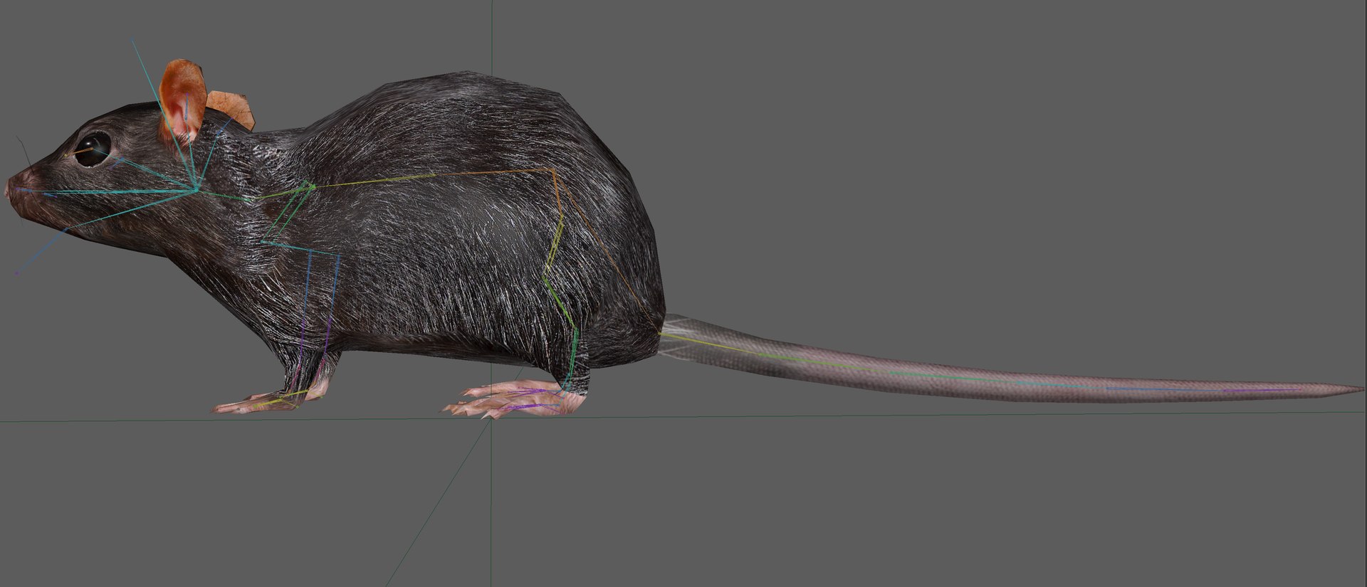 3D Rat Low Poly Rig Model - TurboSquid 1998275