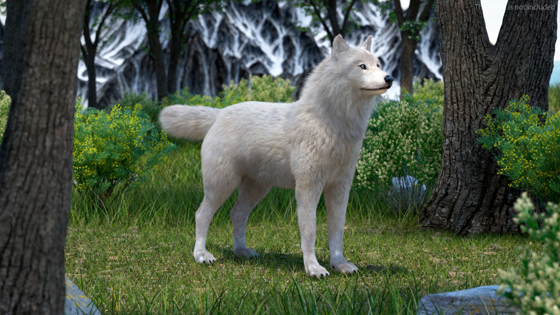 Arctic Wolf Fur Rigged 3D Model - TurboSquid 2217481