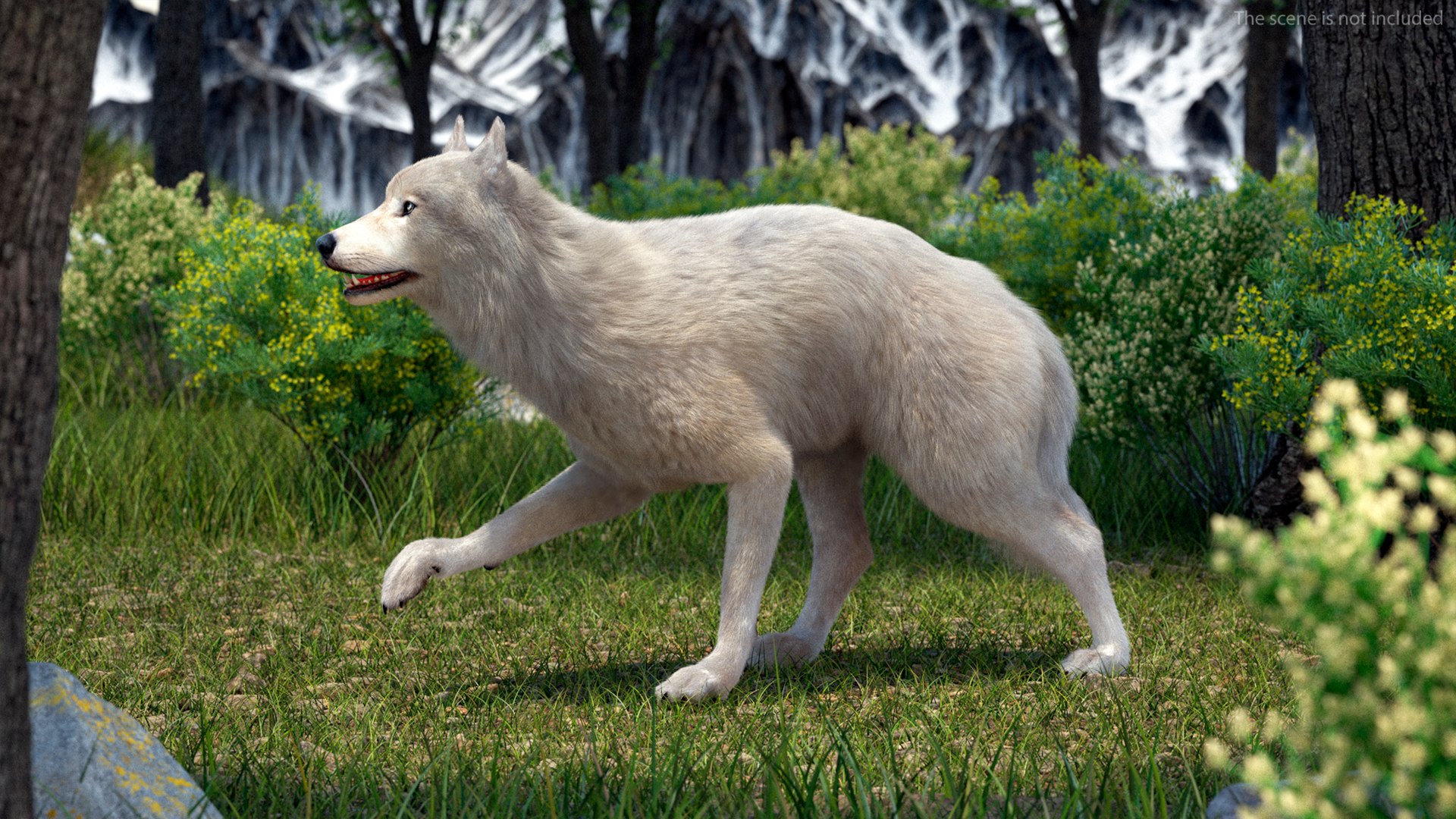 Arctic Wolf Fur Rigged 3D Model - TurboSquid 2217481