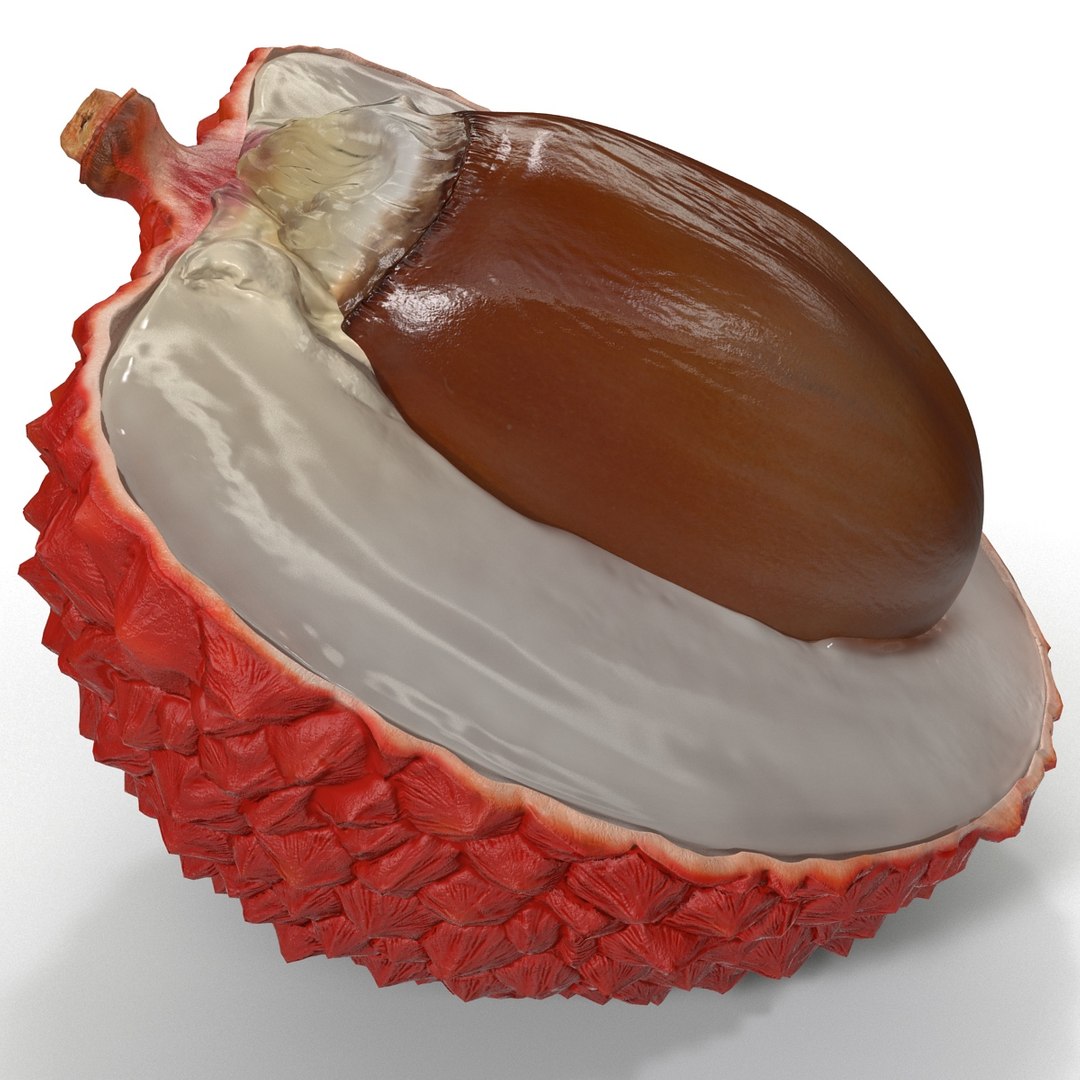 Lychee Fruit 3d Model