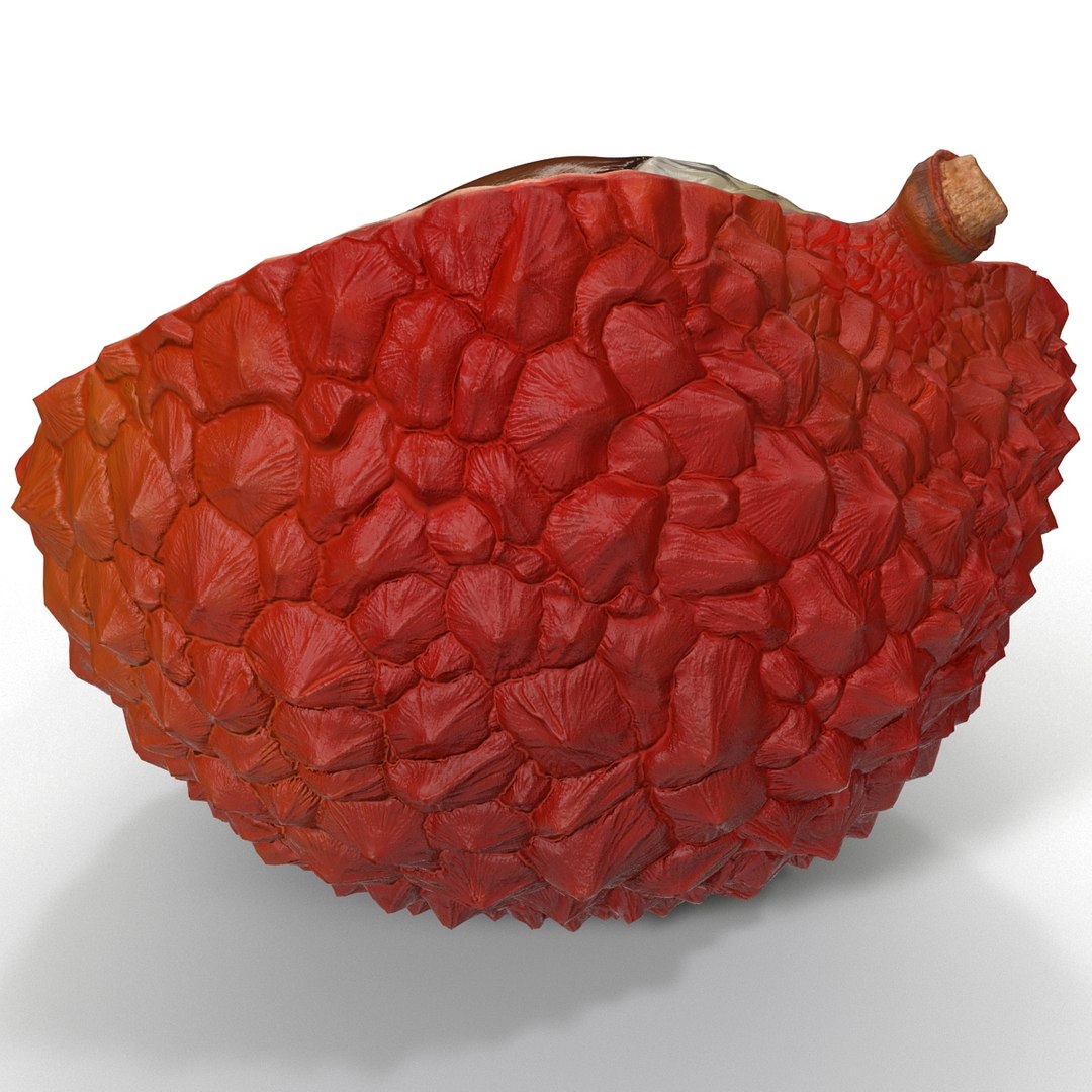 Lychee Fruit 3d Model