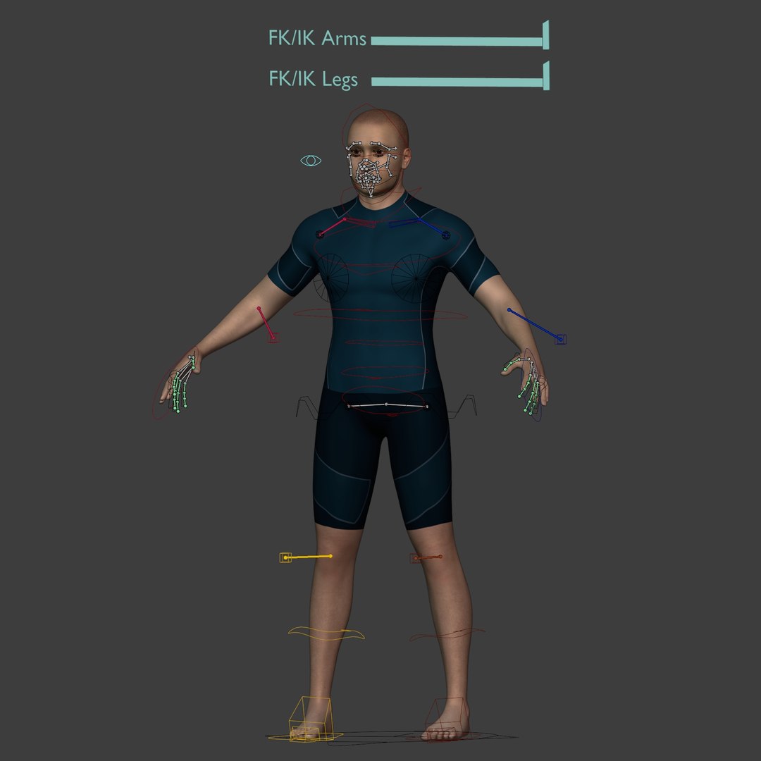 High Quality IK-FK Rig Model - TurboSquid 2227089