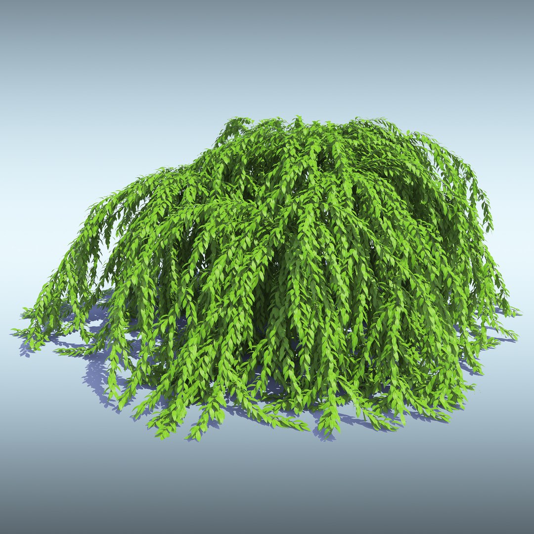 3d Model Of Tree Bush