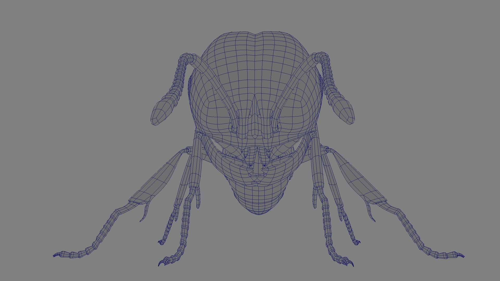 3D Model Ant RIG - TurboSquid 2148363