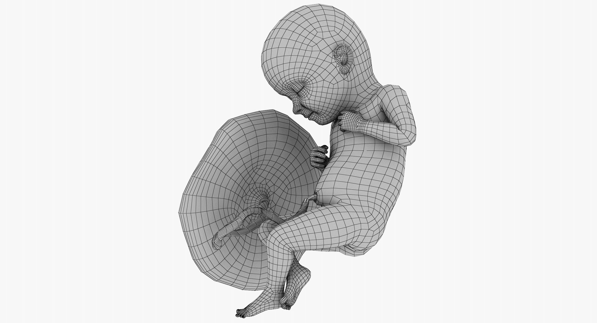 3D Model Fetus Week 32 - TurboSquid 1224383