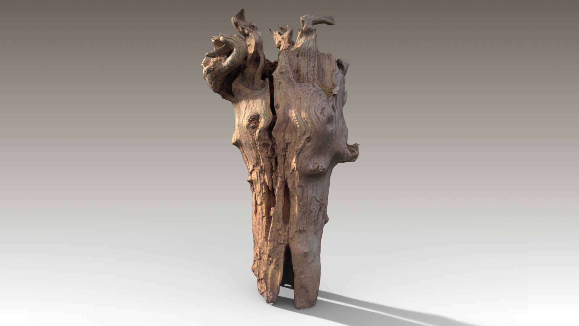 Scan tree stump 3D model - TurboSquid 1559814
