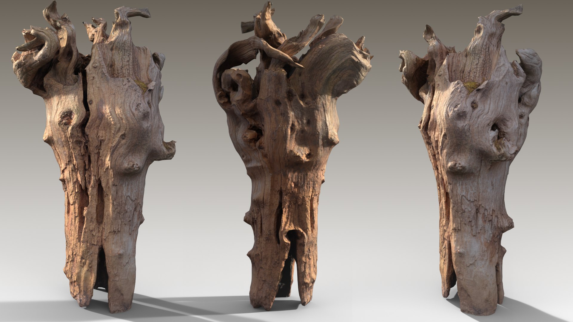 Scan tree stump 3D model - TurboSquid 1559814