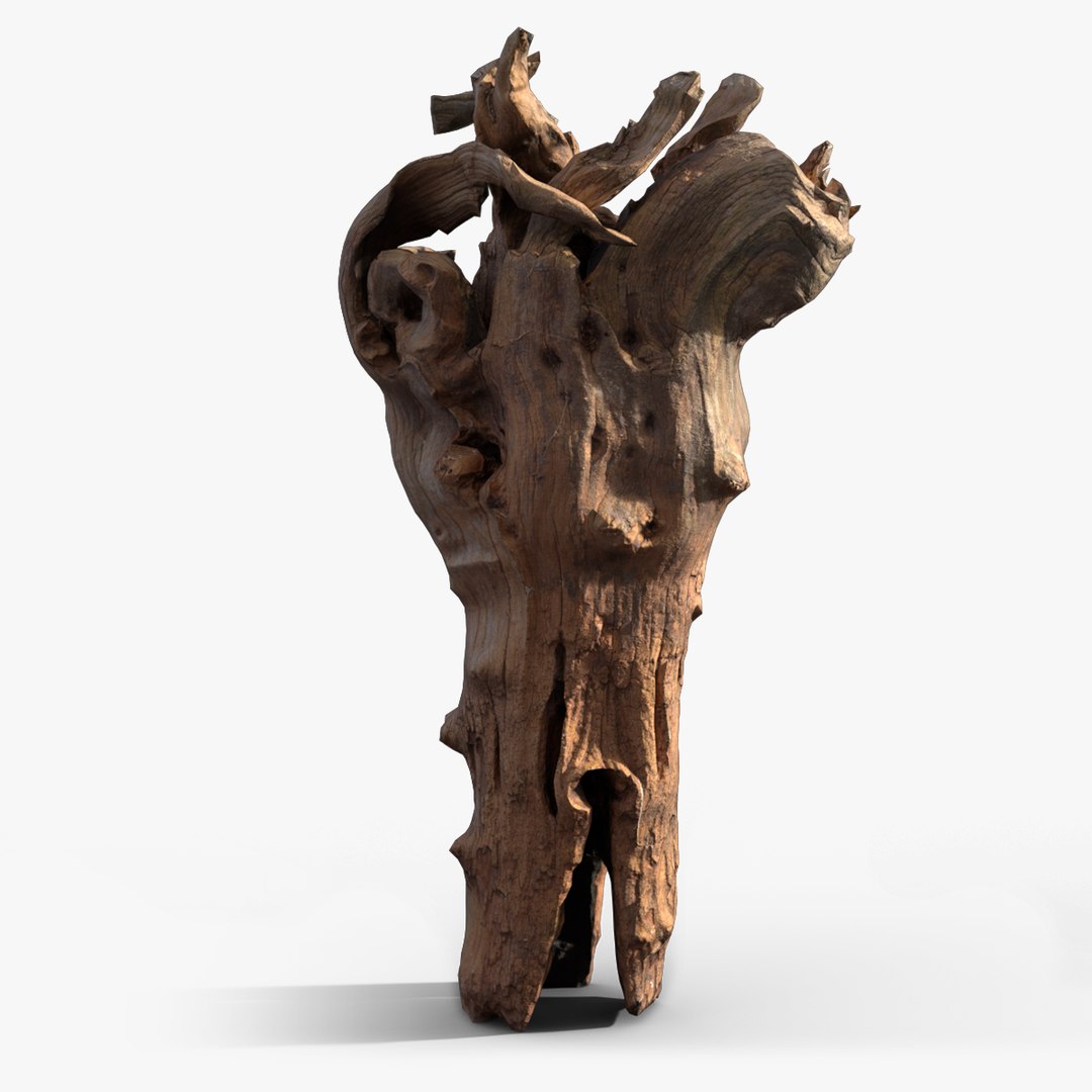Scan tree stump 3D model - TurboSquid 1559814