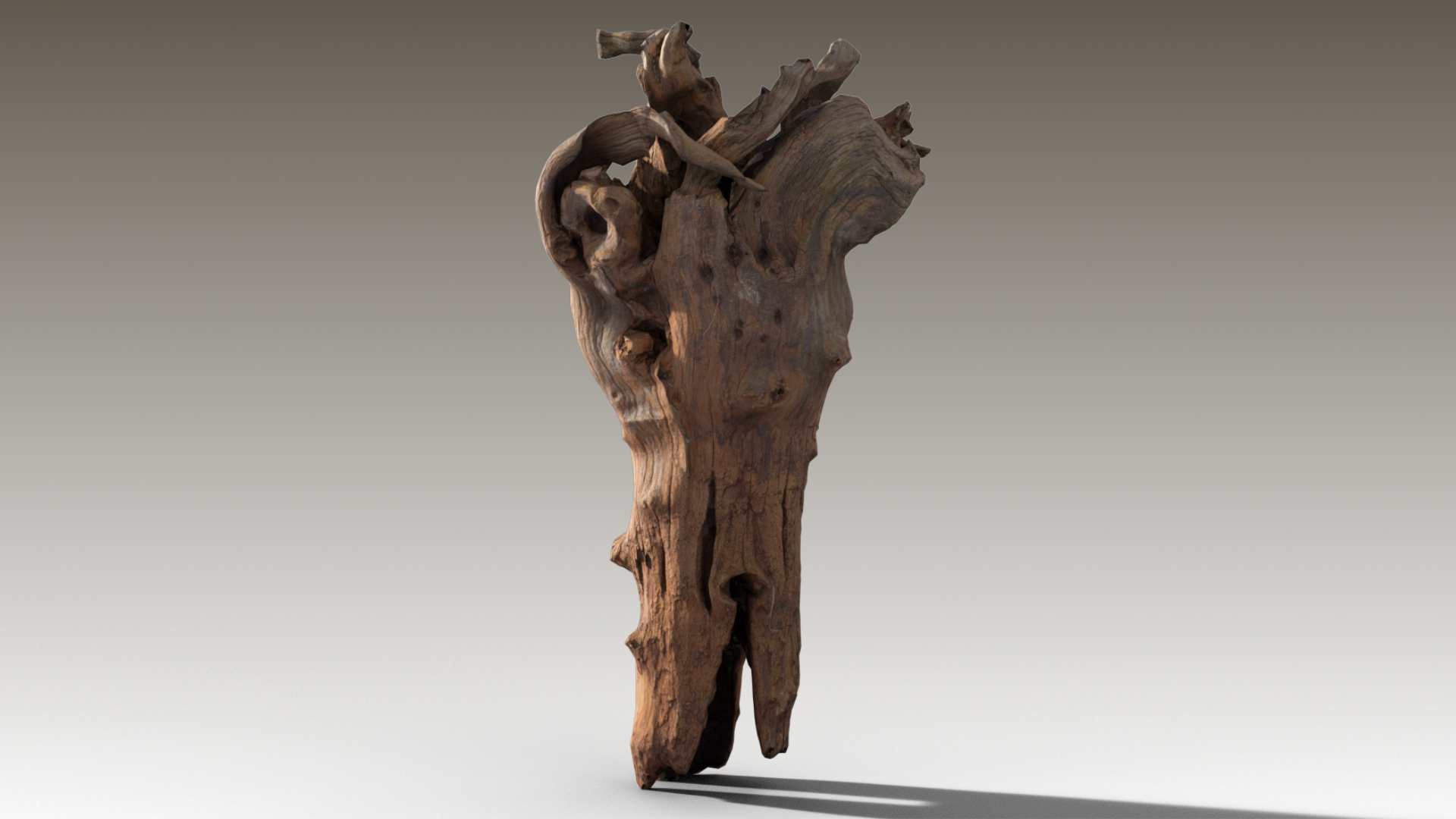 Scan tree stump 3D model - TurboSquid 1559814