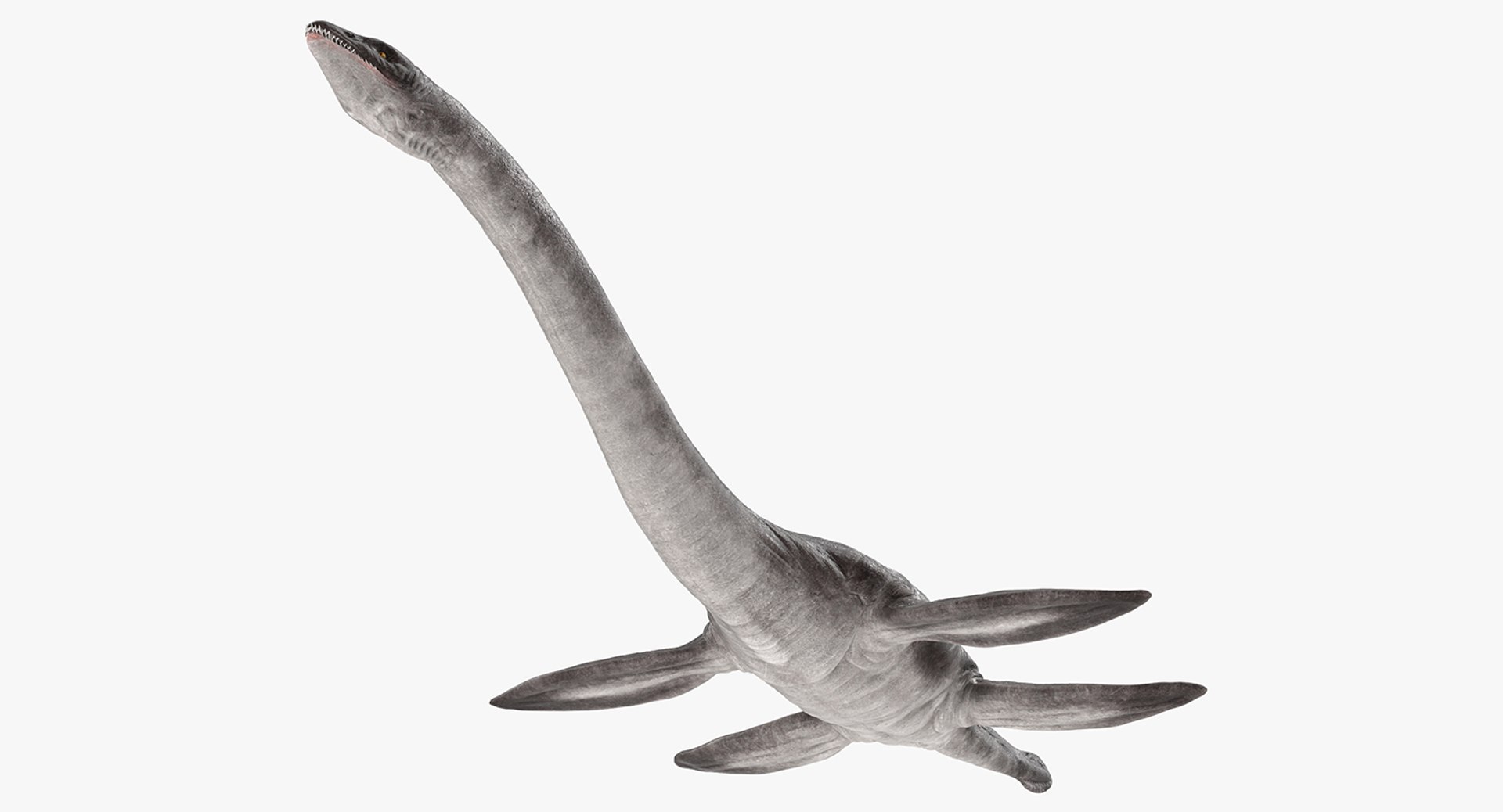 plesiosauria marine reptile dinosaur 3d model