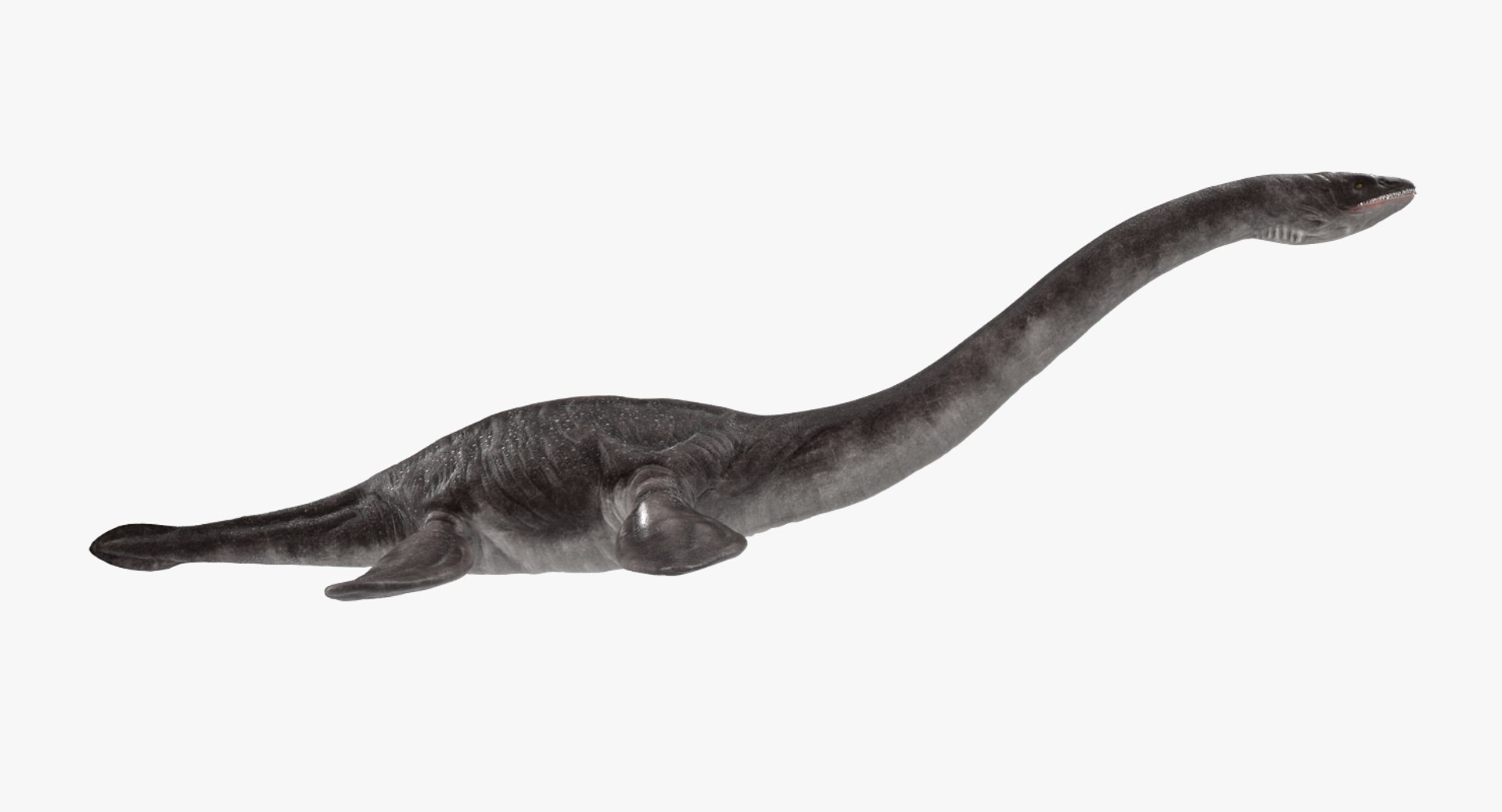 plesiosauria marine reptile dinosaur 3d model