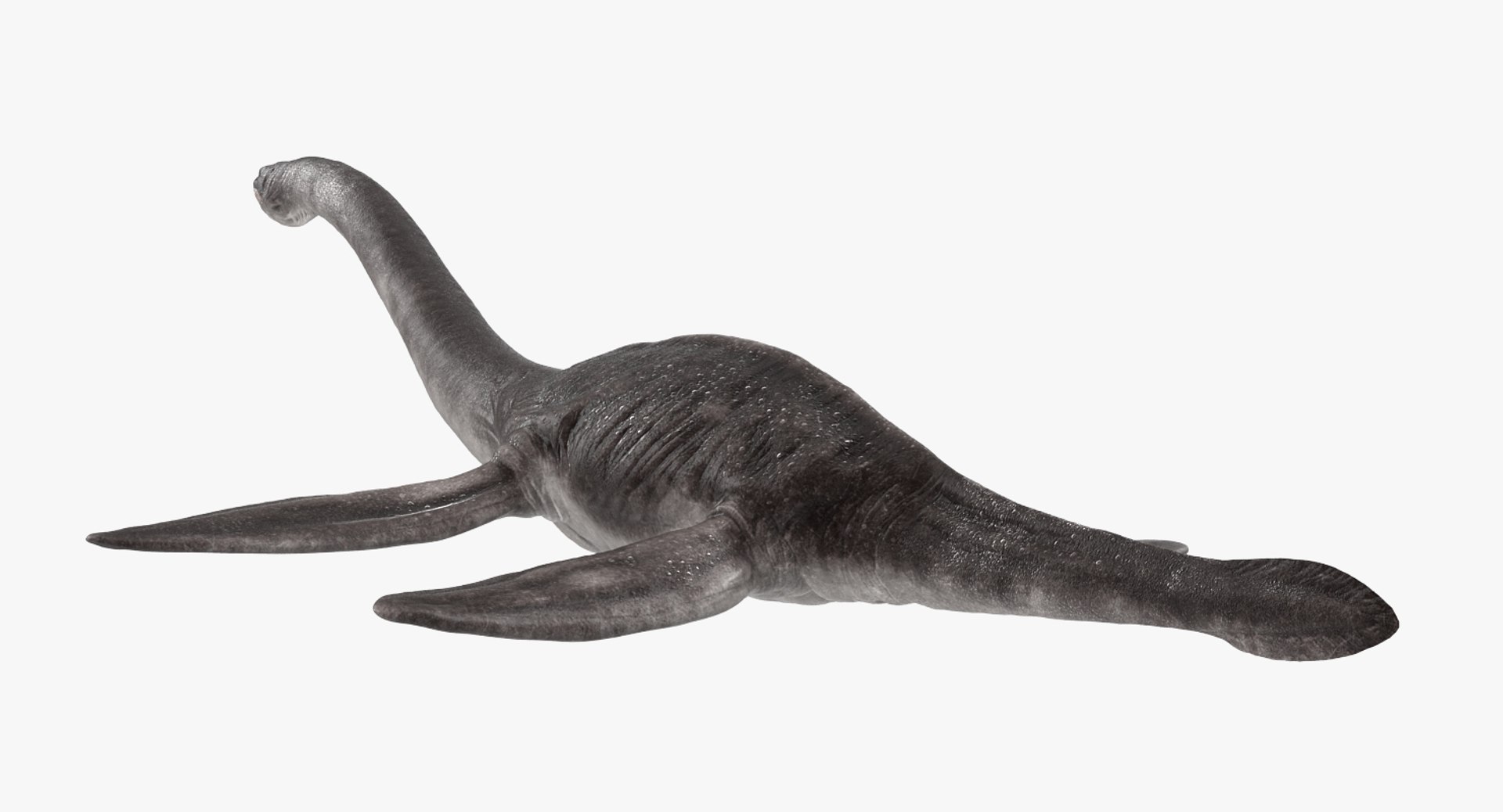 plesiosauria marine reptile dinosaur 3d model