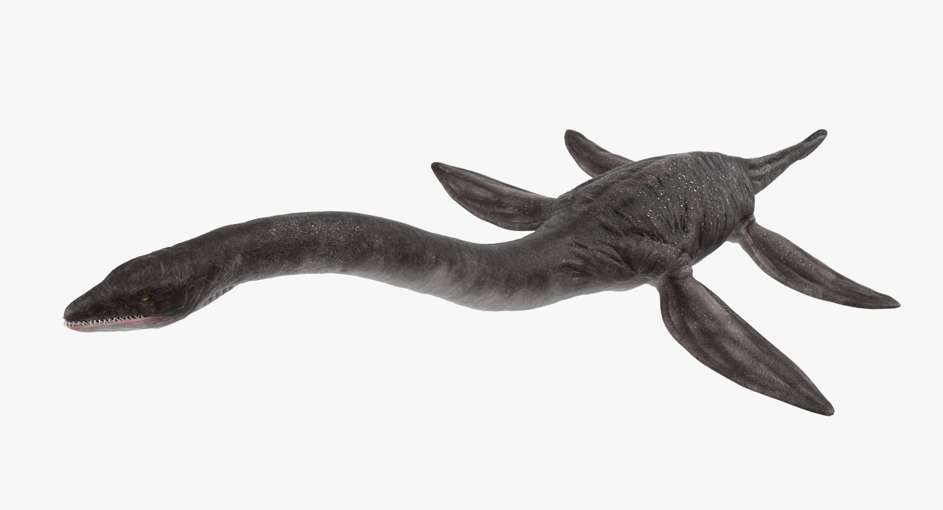 plesiosauria marine reptile dinosaur 3d model