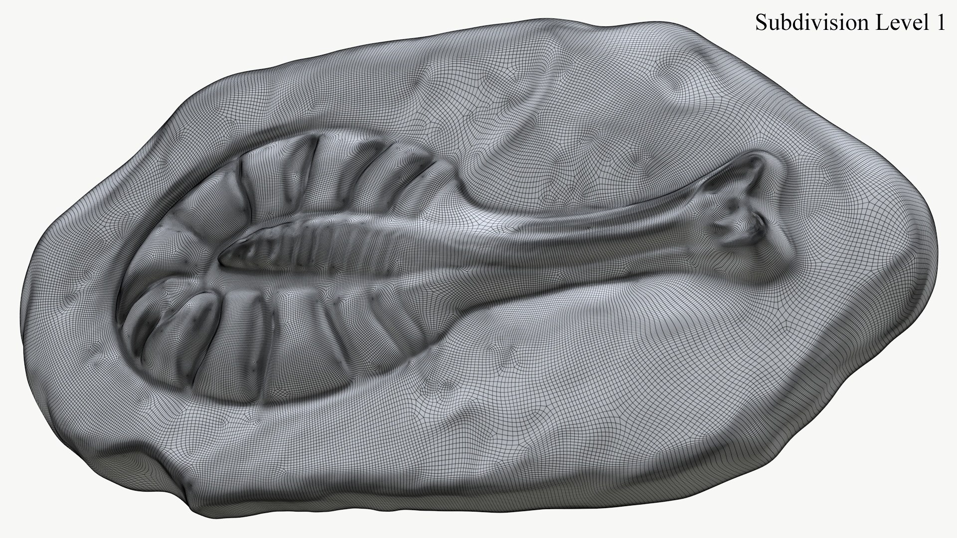 Ancient Fossil 2001 Textured 3D - TurboSquid 2299556