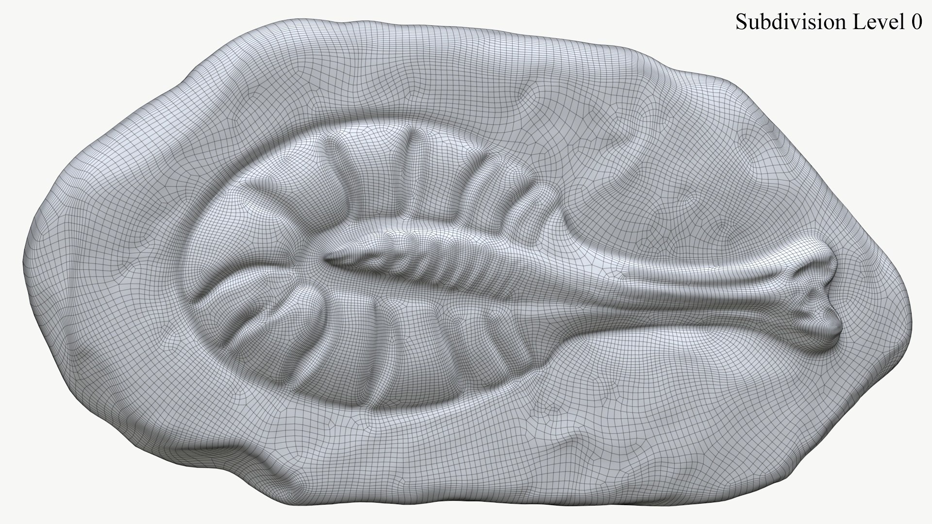 Ancient Fossil 2001 Textured 3D - TurboSquid 2299556