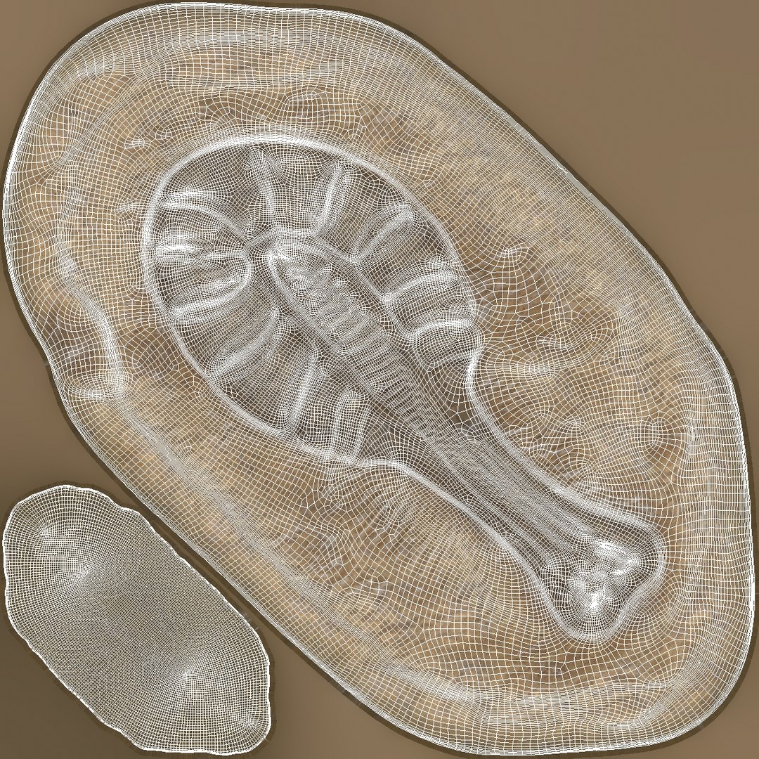 Ancient Fossil 2001 Textured 3D - TurboSquid 2299556