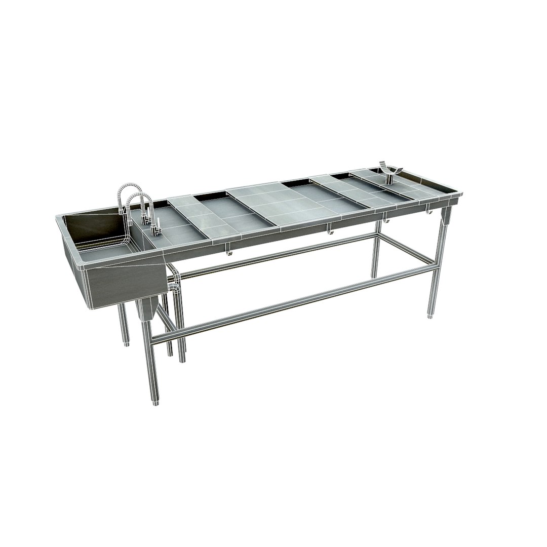 3d Model Autopsy Table