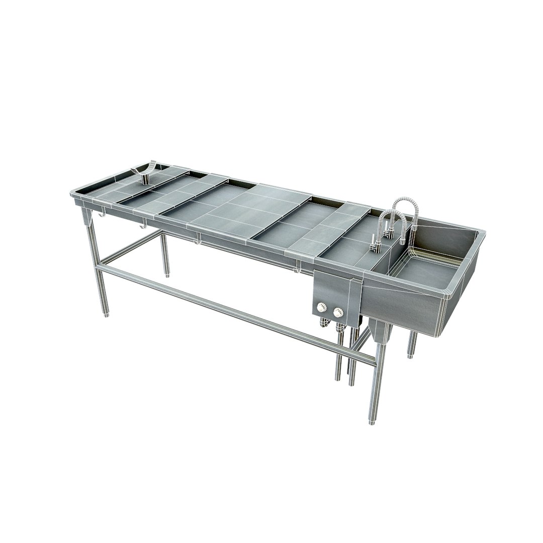 3d Model Autopsy Table