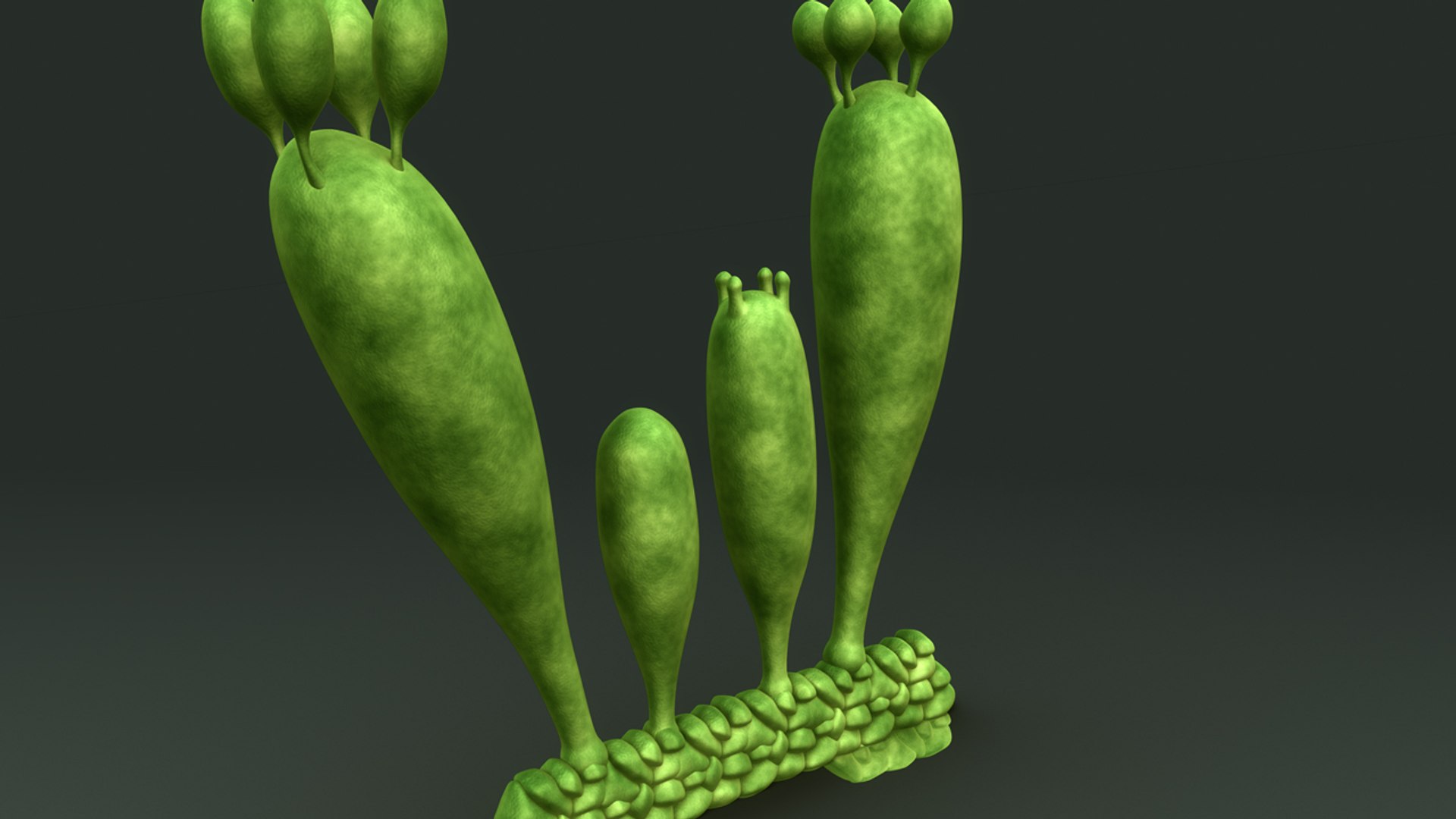 3d Model Basidiospore Fungi