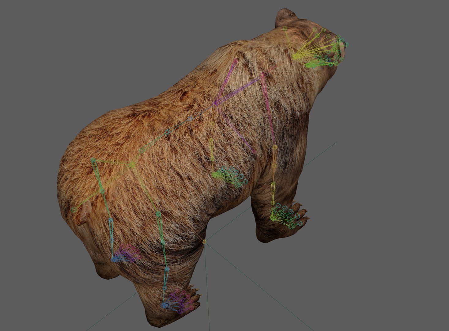 3D Model Grizzly Bear Rig - TurboSquid 2317635