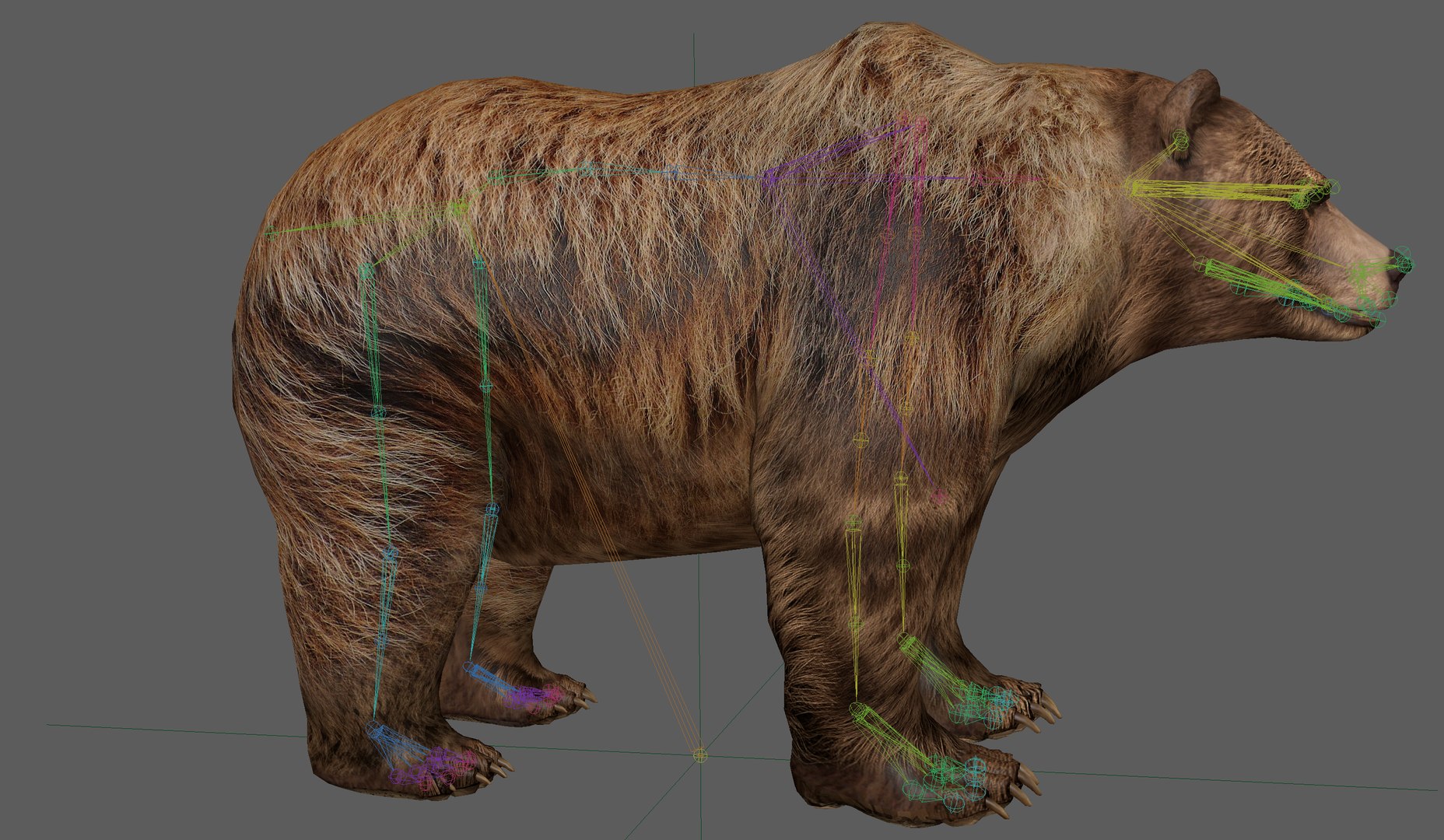 3D Model Grizzly Bear Rig - TurboSquid 2317635