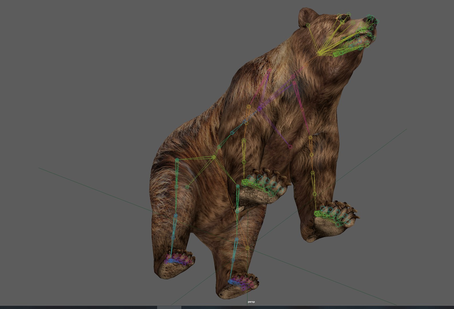 3D Model Grizzly Bear Rig - TurboSquid 2317635