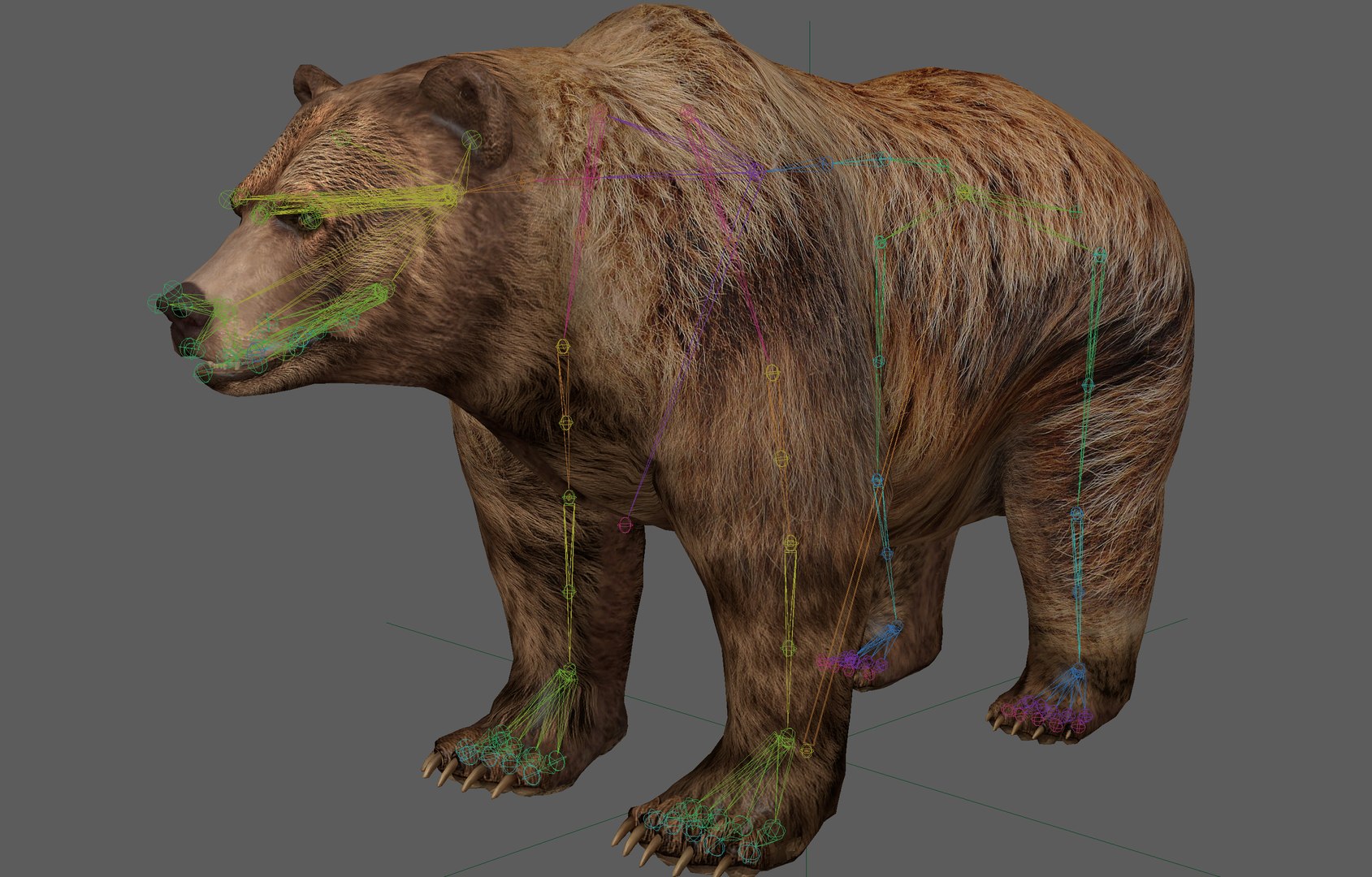 3D Model Grizzly Bear Rig - TurboSquid 2317635