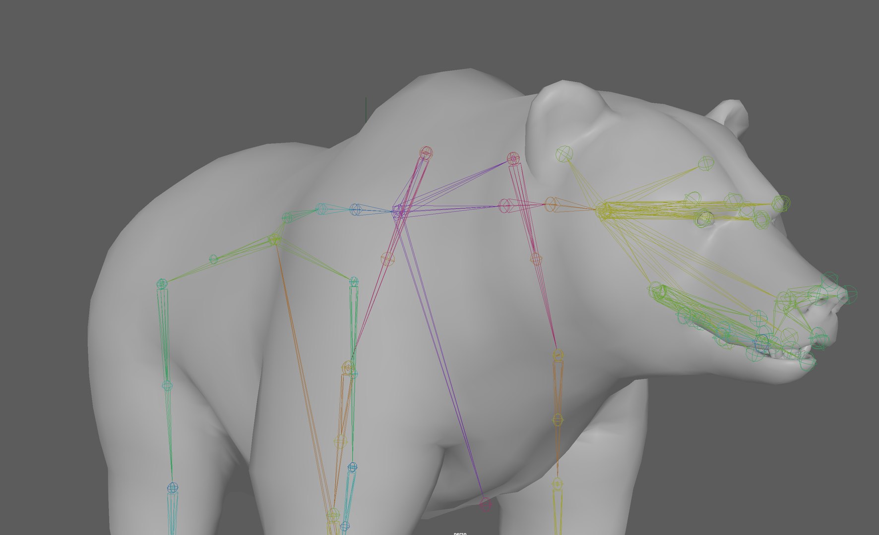 3D Model Grizzly Bear Rig - TurboSquid 2317635