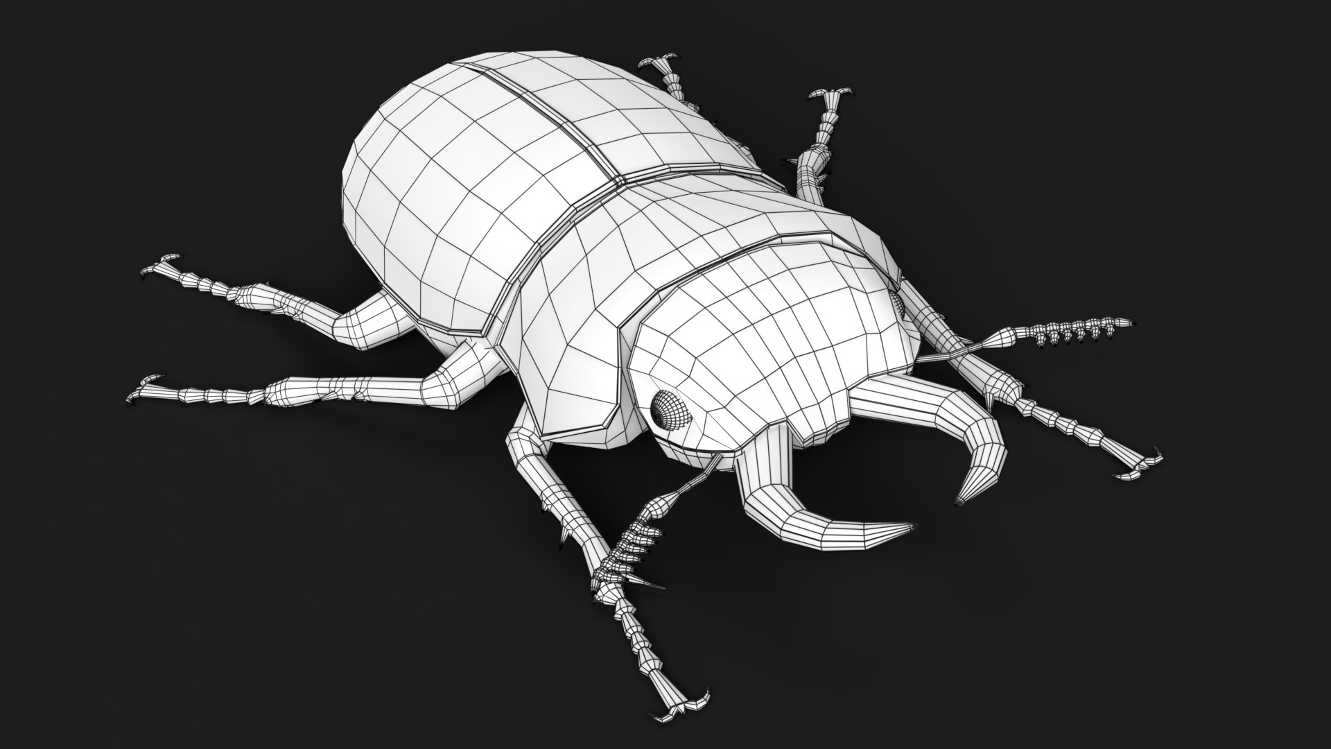 3D Stag Beetle Model - TurboSquid 1729204