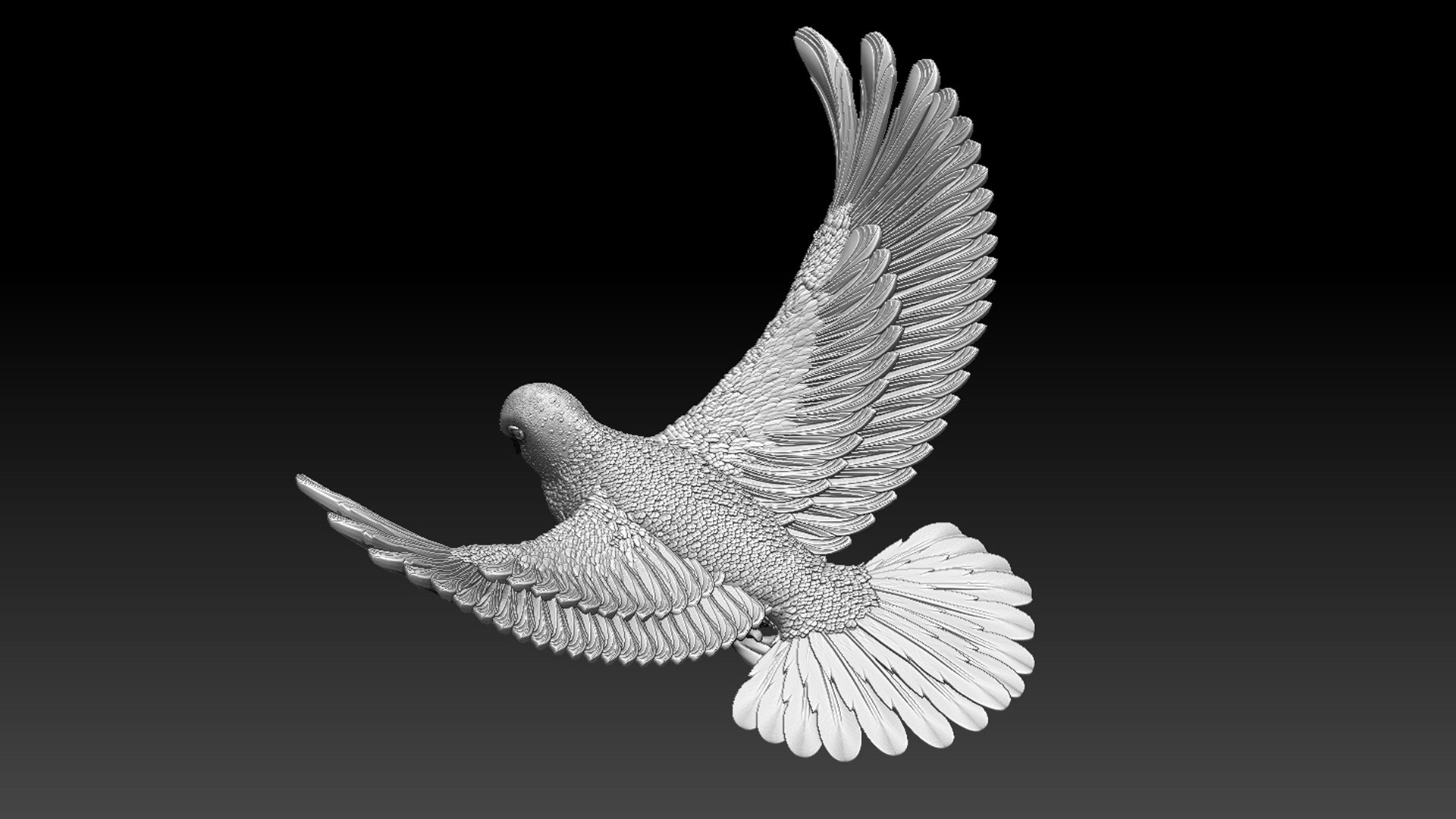 3D dove model - TurboSquid 1901411