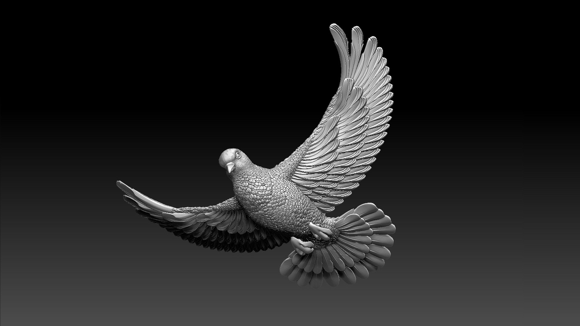 3D dove model - TurboSquid 1901411