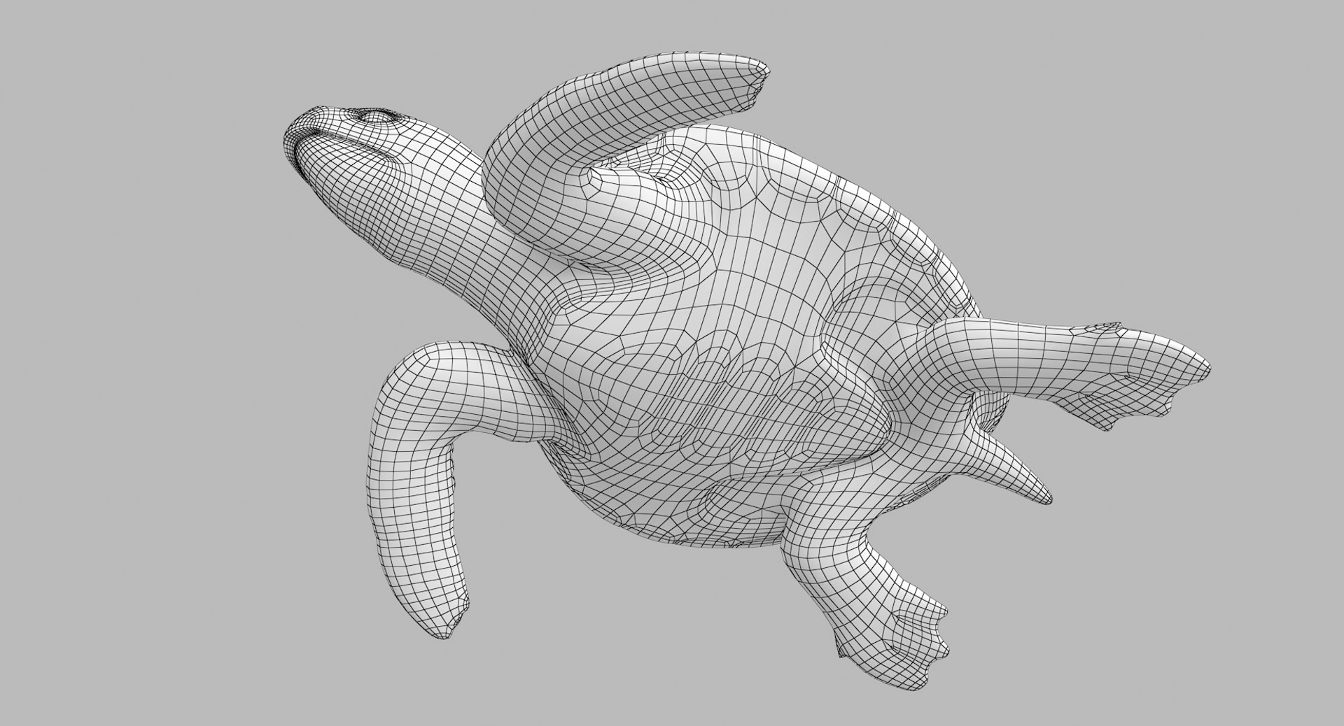 Loggerhead Sea Turtle Model - TurboSquid 1384445