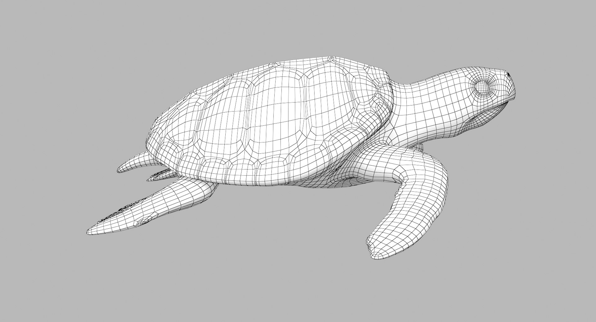 Loggerhead Sea Turtle Model - TurboSquid 1384445
