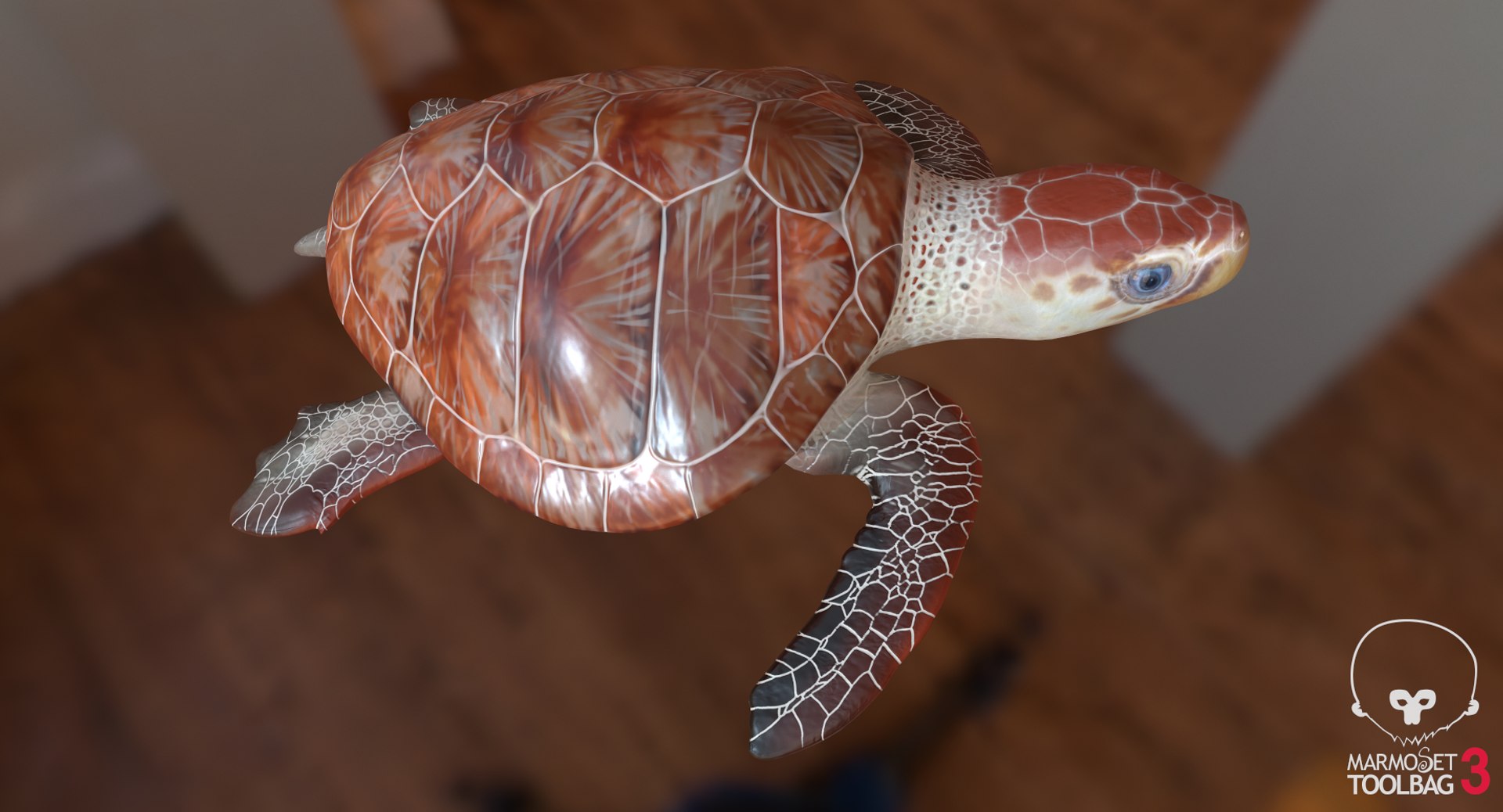 Loggerhead Sea Turtle Model - TurboSquid 1384445