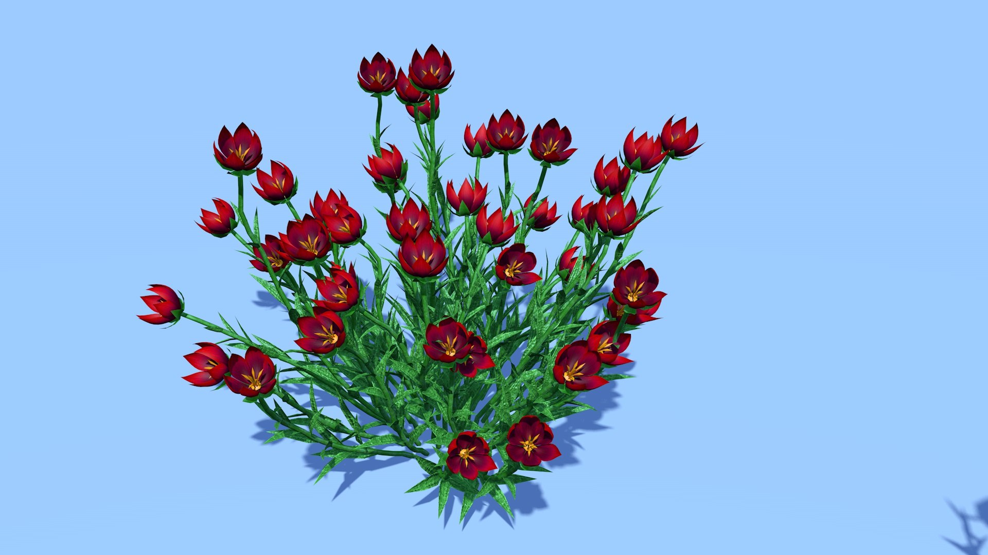 3D 3d Tulip Flower Model 3D Model - TurboSquid 1927910