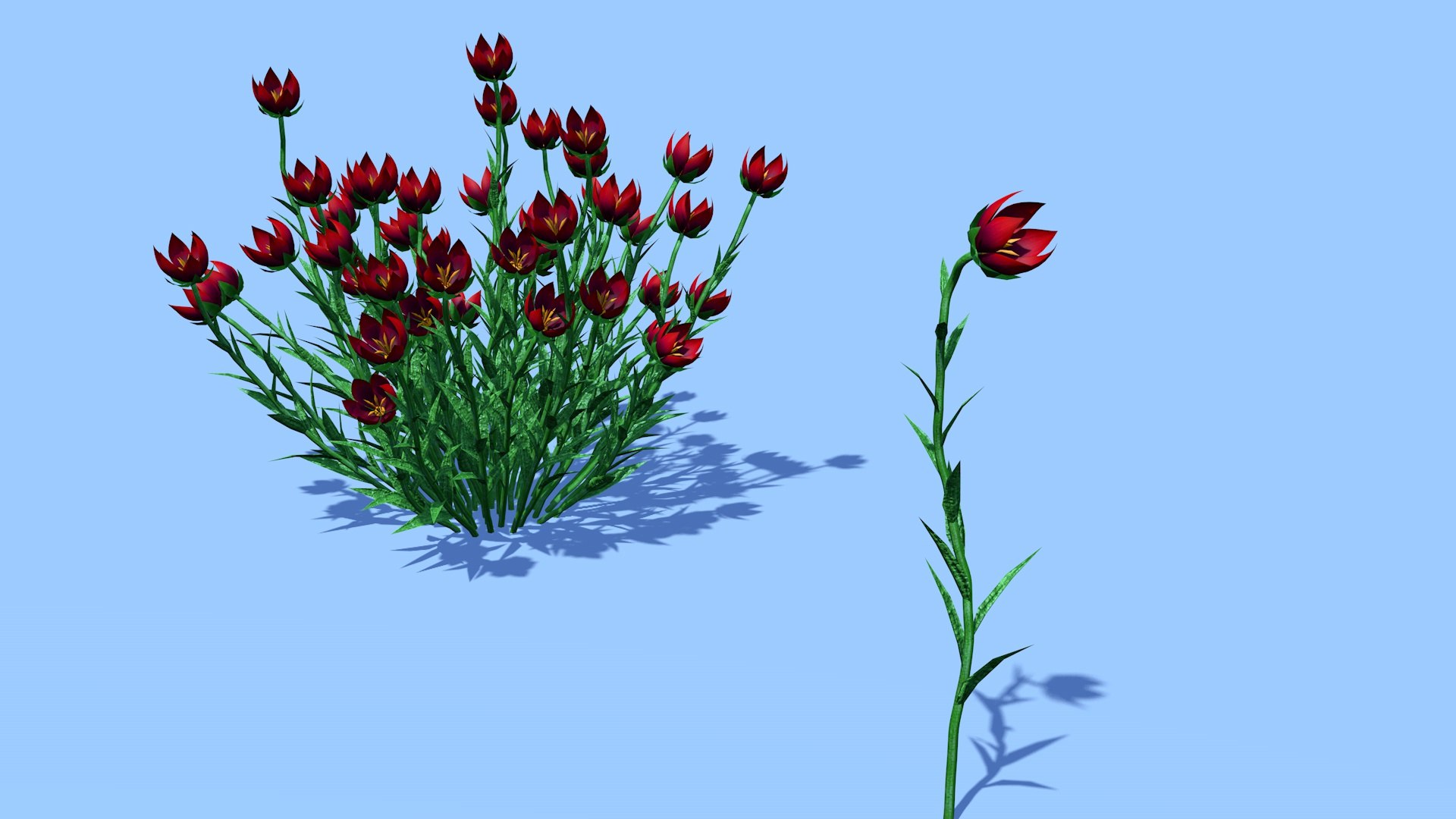 3D 3d Tulip Flower Model 3D Model - TurboSquid 1927910