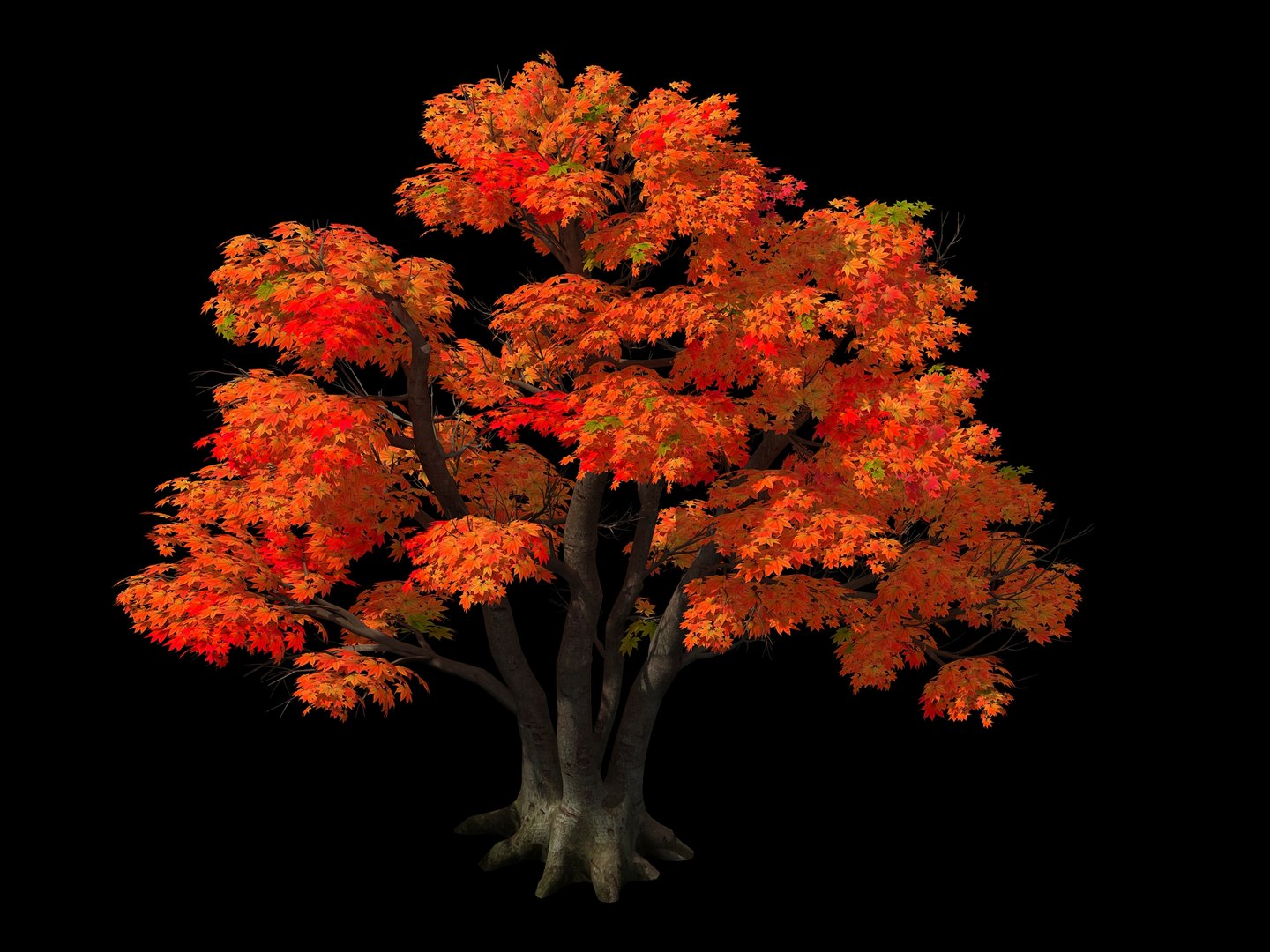 Forest - red tree 3D model - TurboSquid 1449179