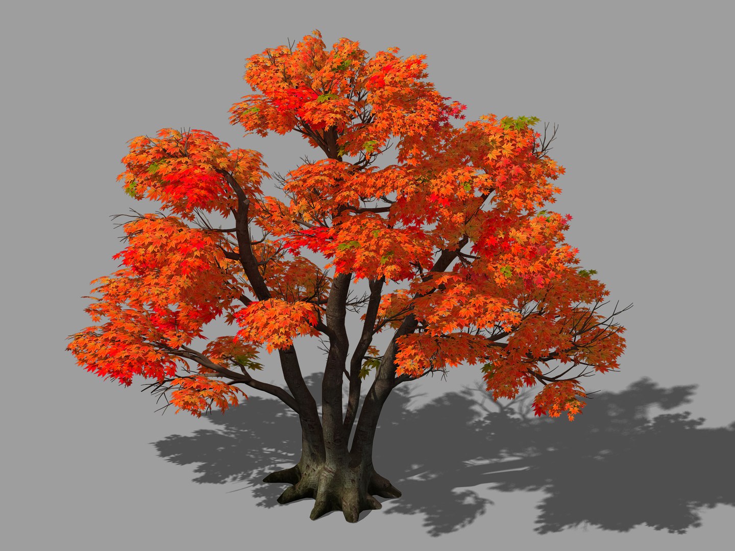 Forest - red tree 3D model - TurboSquid 1449179