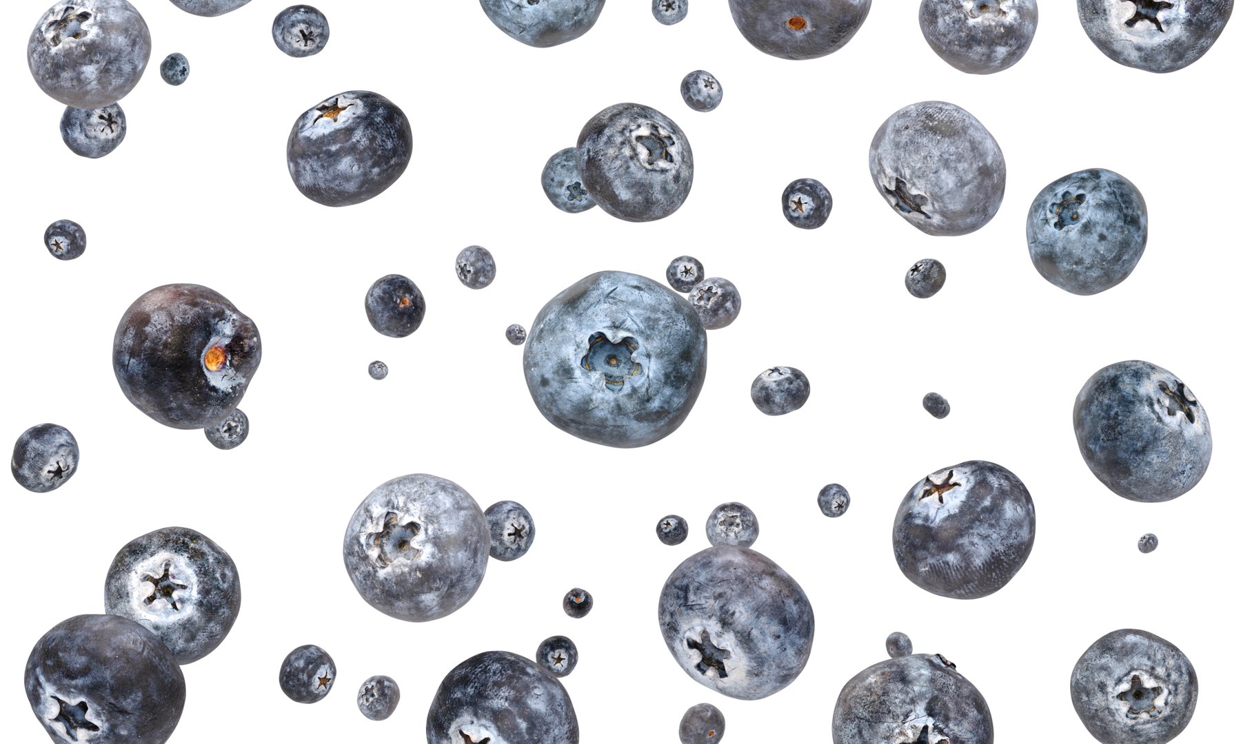 Blueberry model - TurboSquid 2098250