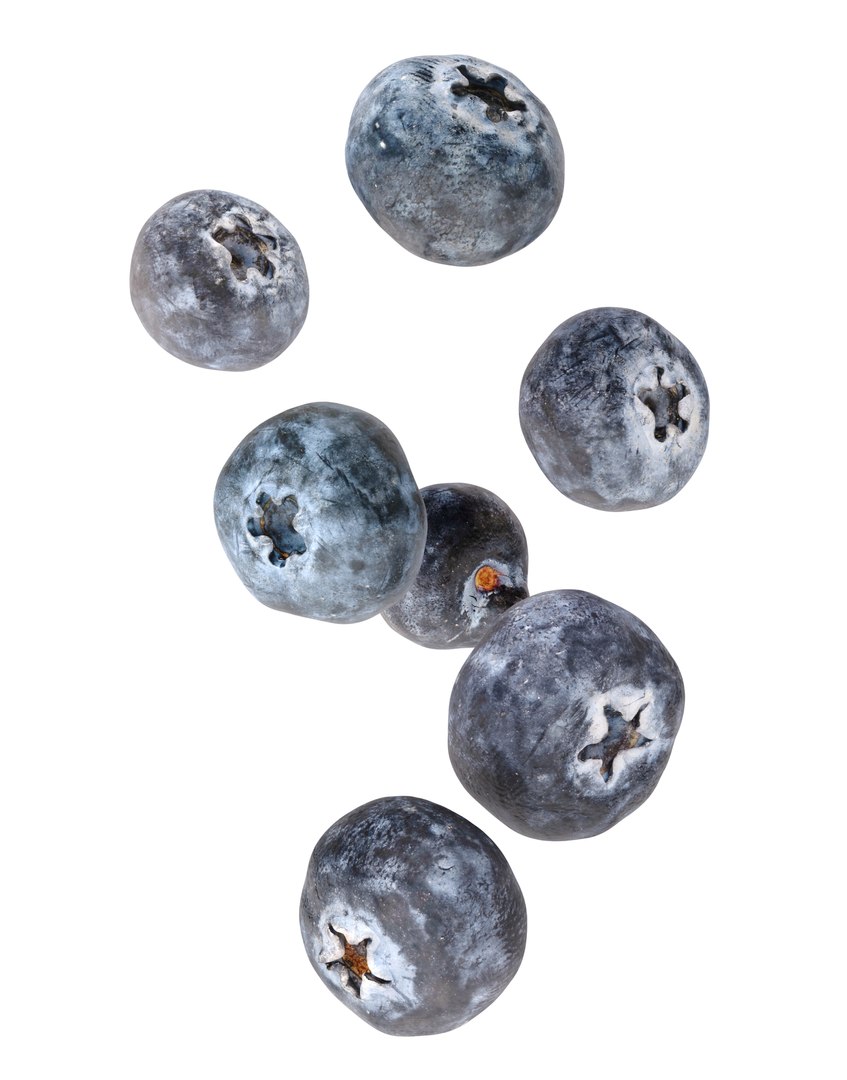 Blueberry model - TurboSquid 2098250