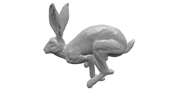Hare 3D Models for Download | TurboSquid