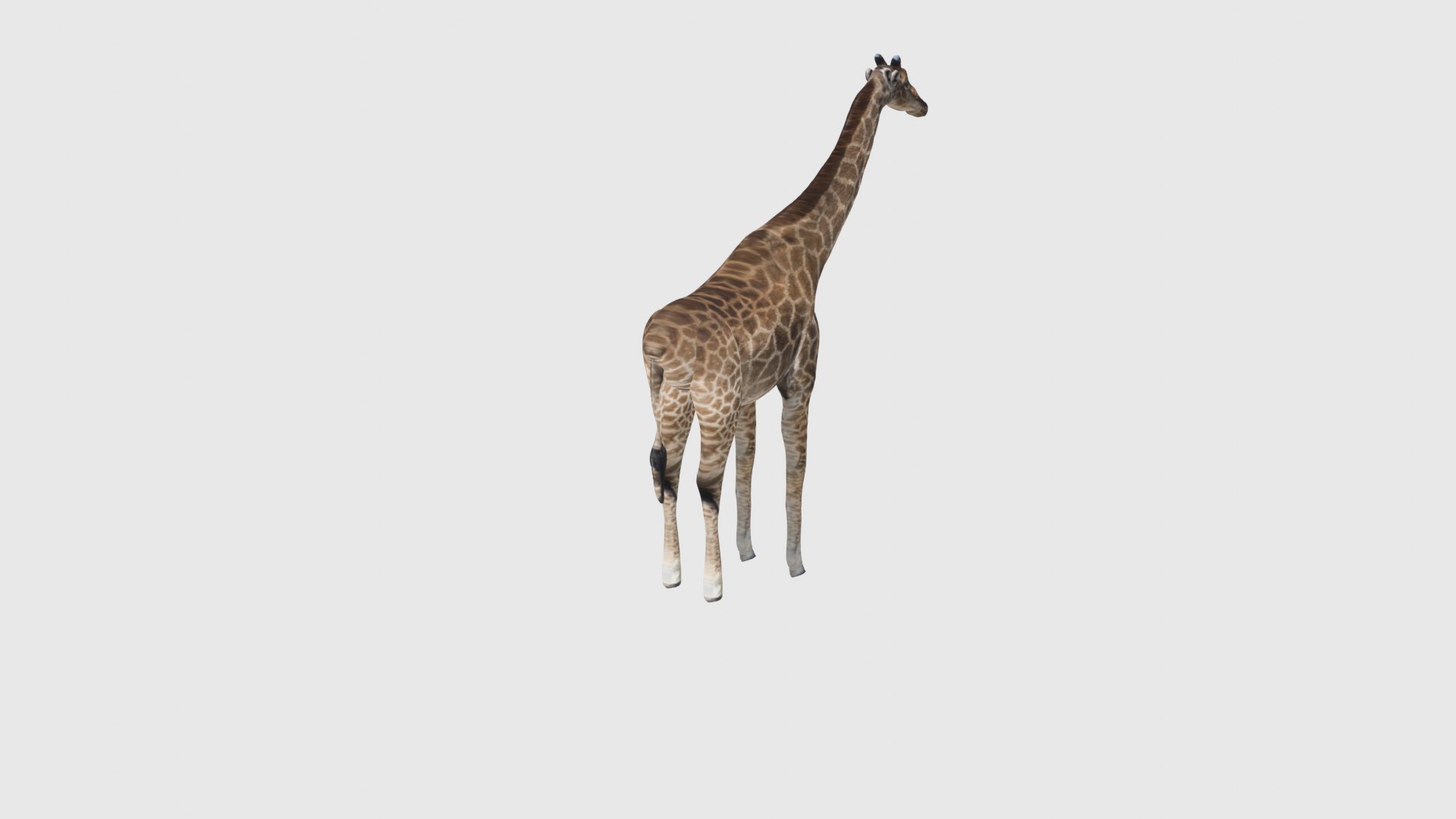 Low Poly Giraffe Rigged With Realistic Texture 3D model - TurboSquid ...