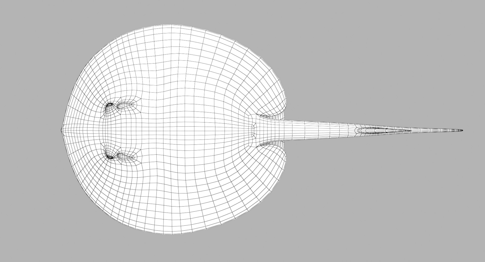 3D Freshwater Stingray Model - TurboSquid 1419812