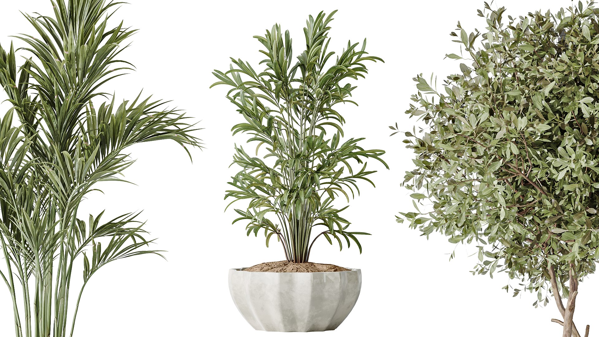 AV Indoor Plants Set 167 Artificial Olivo Olea Tree And Areca Majesty ...