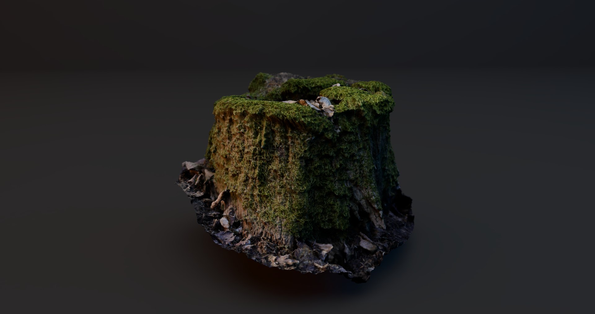 Tree Stump Model - TurboSquid 1391852