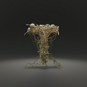 3D letter l bones skeleton - TurboSquid 1546158