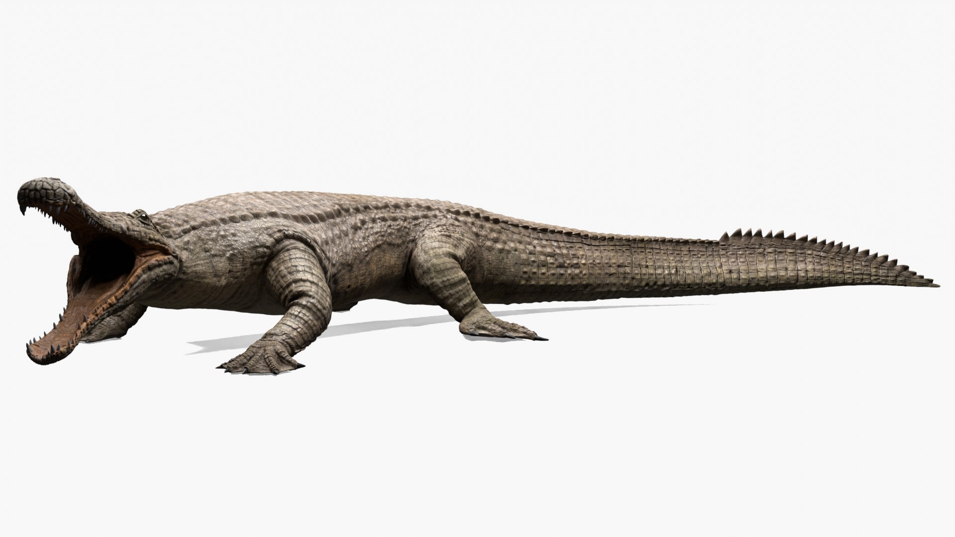 Sarcosuchus 3D - TurboSquid 1918351