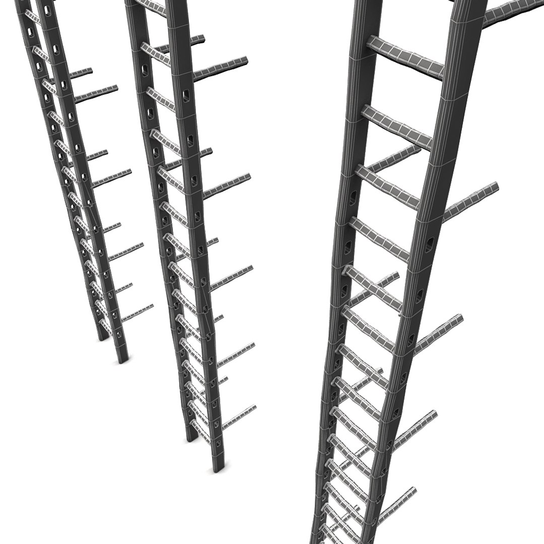 Metal Ladder Old 3d Model
